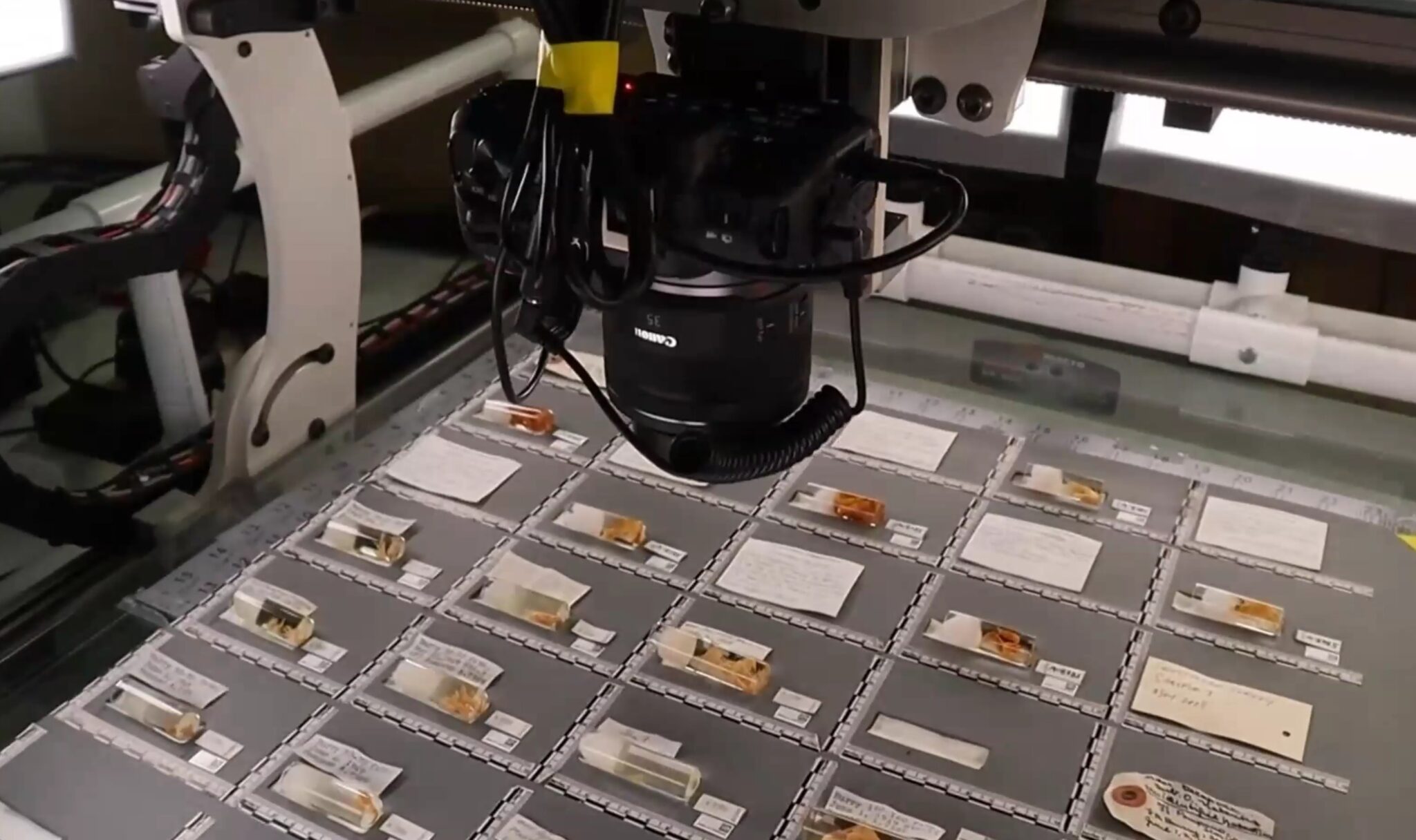 Use Case: Digitizing Invertebrate Collections at the American Museum of ...